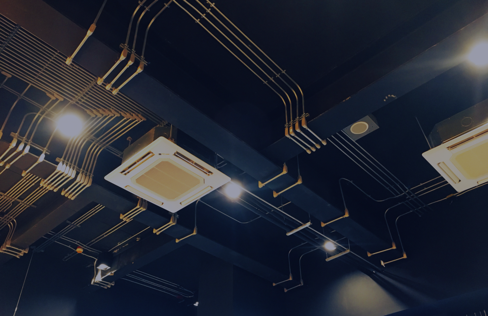 Controlled Atmosphere Klimex Smart Solutions For Temperature And